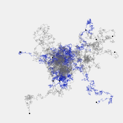 Complexity Explorables | Albert & Carl Friedrich