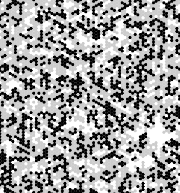 Complexity Explorables | Critical HexSIRSize