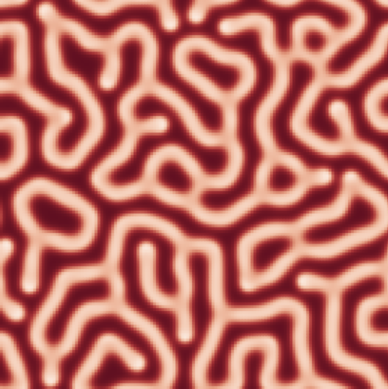 Complexity Explorables | Hopfed Turingles